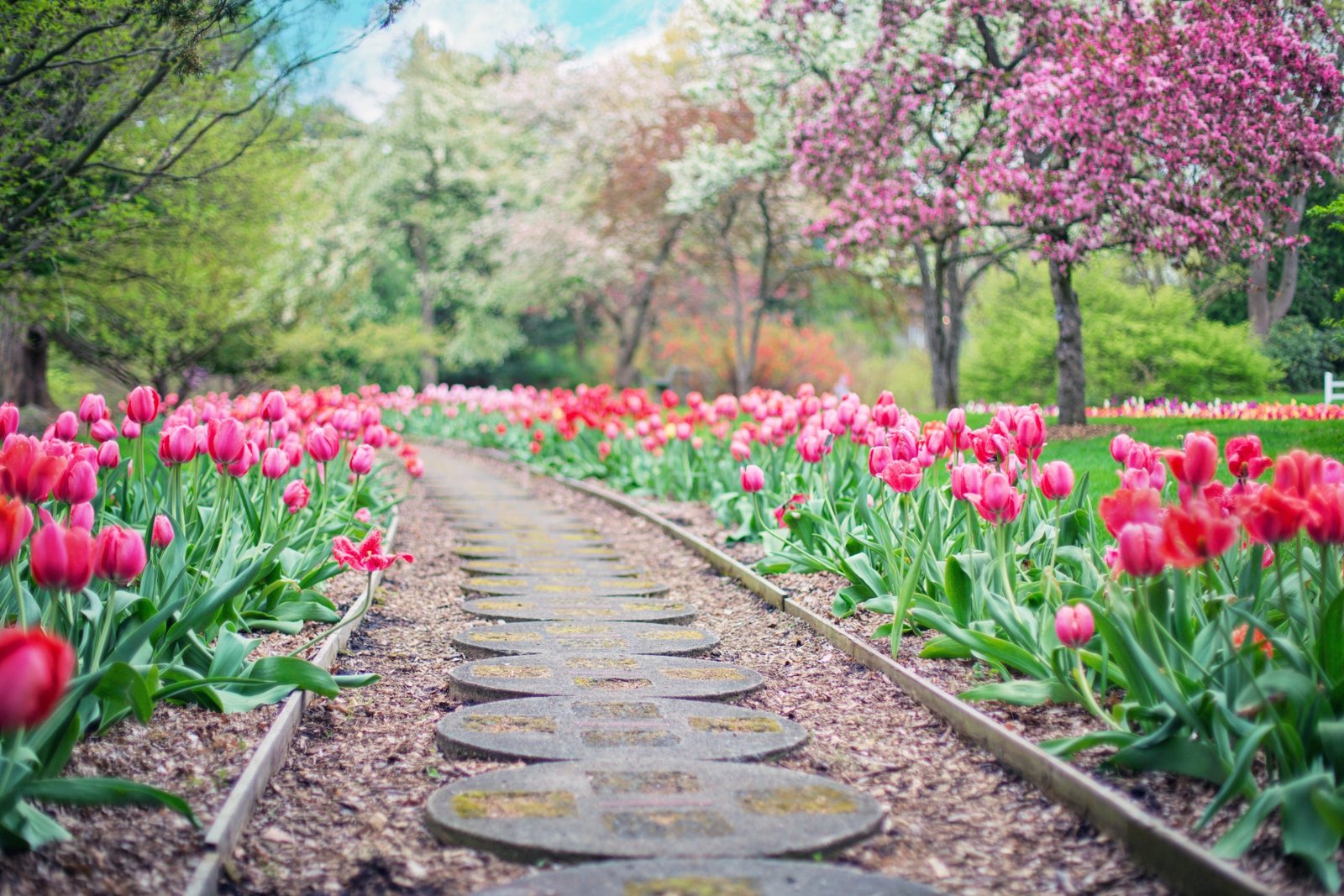 12 Ways To Get You Ready For Spring - Closets and Culture